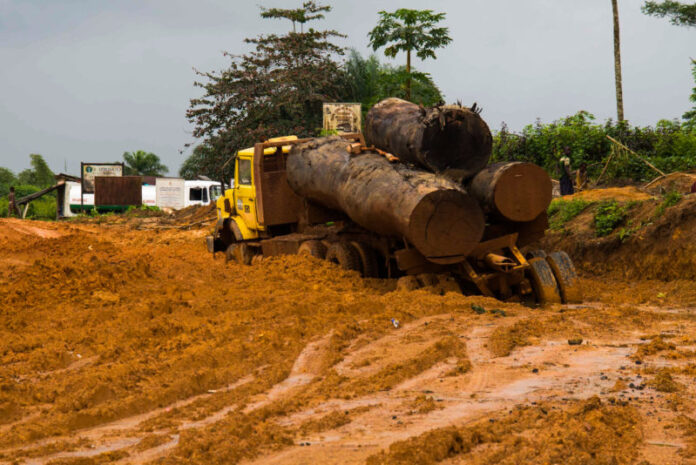 Deforestation and Logging: A Challenge for the New Liberia | Oracle ...