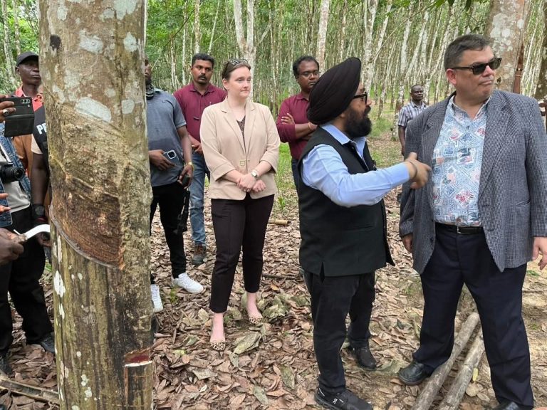 The Liberian Rubber Plant Boosting US Supply Chain | Oracle News Daily